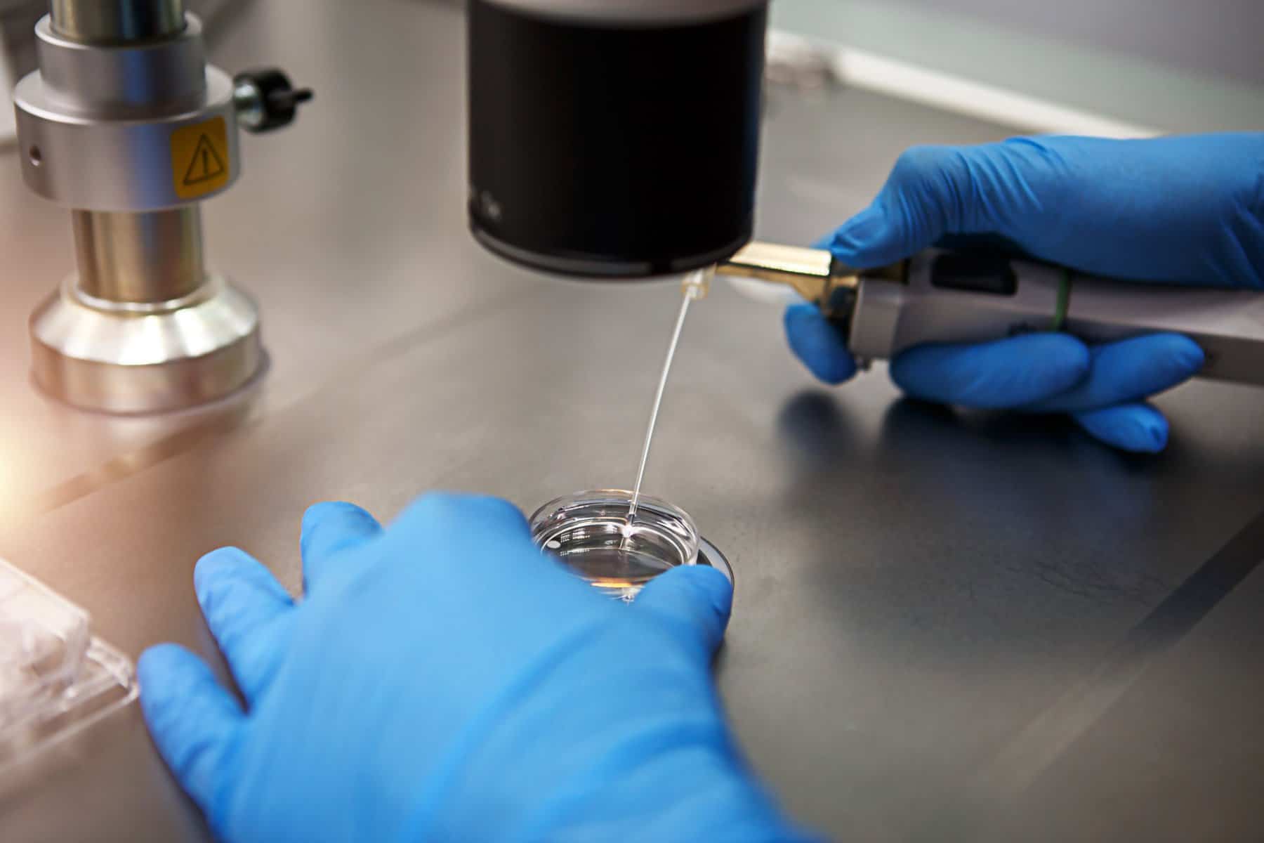Positive Signs After The Embryo Transfer