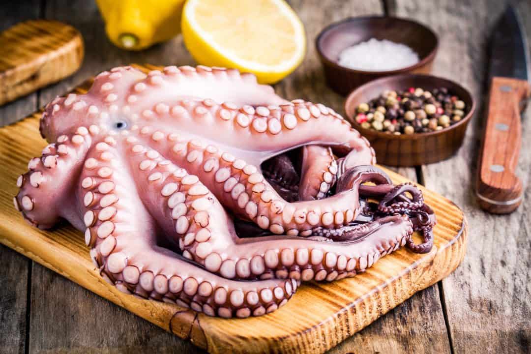 Can Pregnant Women Eat Octopus?