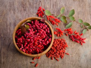 Goji Berries During Pregnancy - 7 Key Benefits