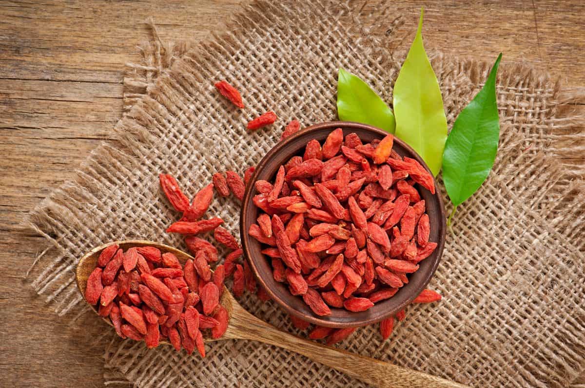 Goji Berries During Pregnancy - 7 Key Benefits