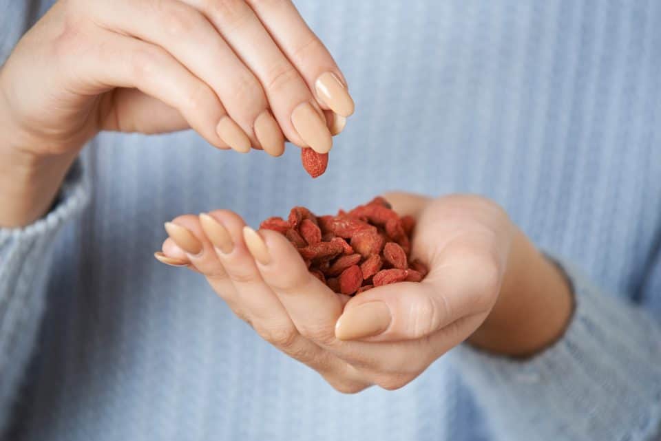 Goji Berries During Pregnancy - 7 Key Benefits